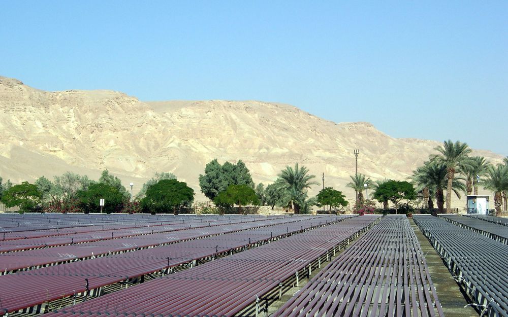 agricultura-israelí - Noticias de Israel