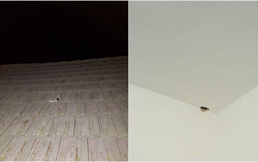 Bala disparada desde Gaza golpea casa de familia israelí - Noticias de ...