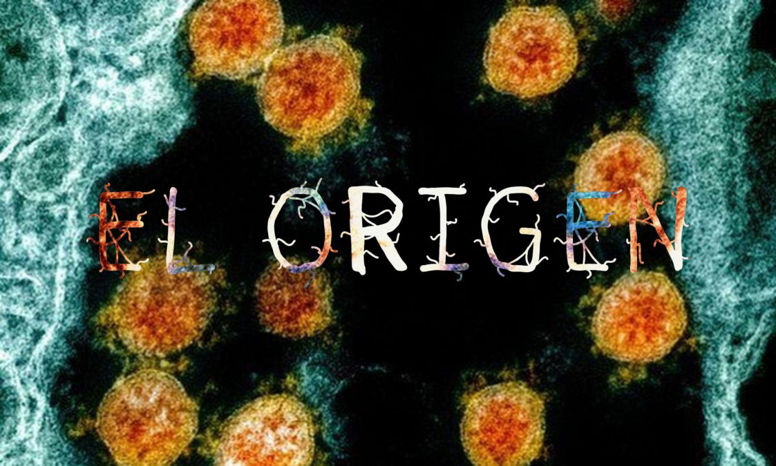 Dentro De La Lucha Por Descubrir El Origen Del Covid 19