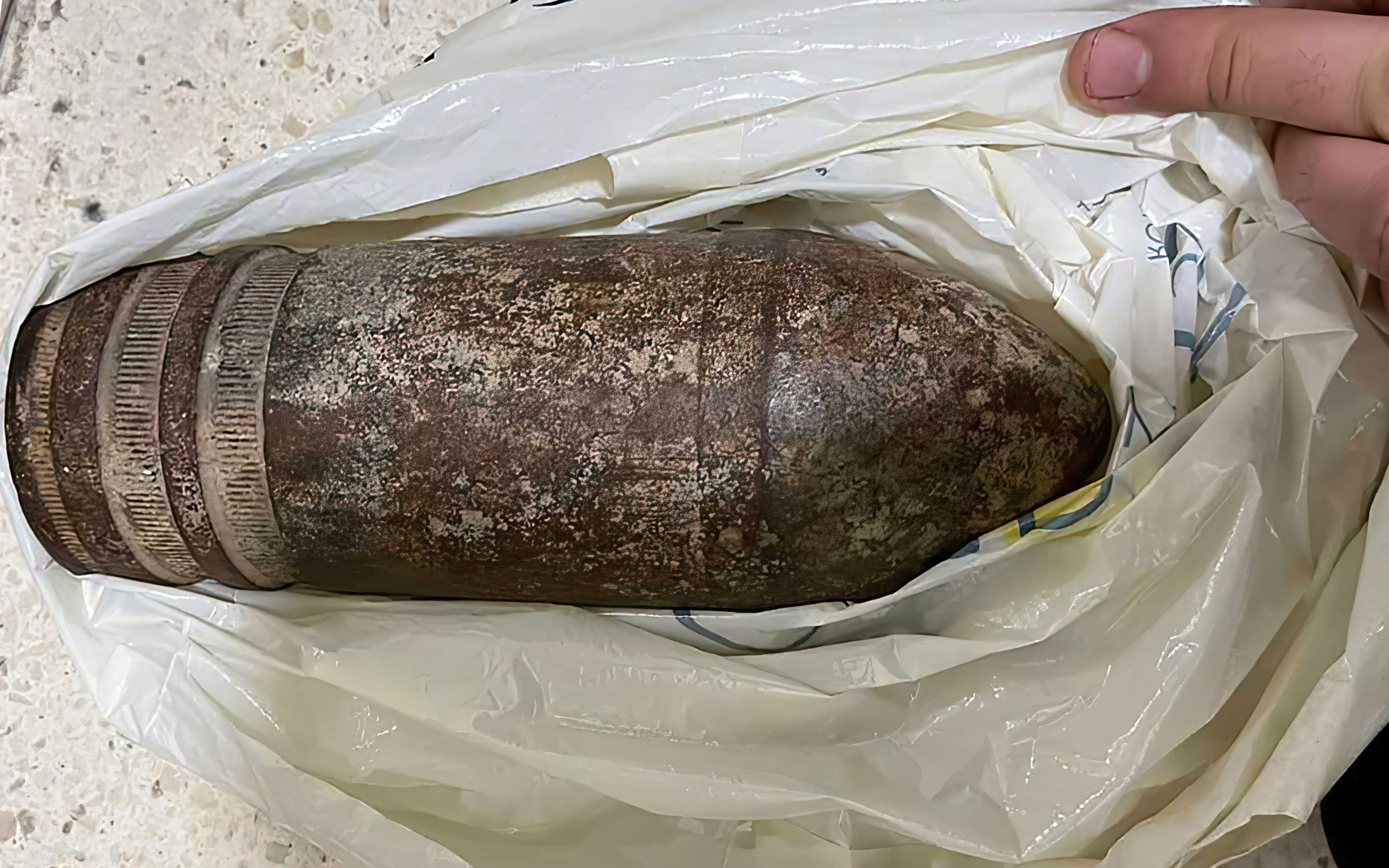 Pánico en el aeropuerto de Israel: familia estadounidense llevaba una ...