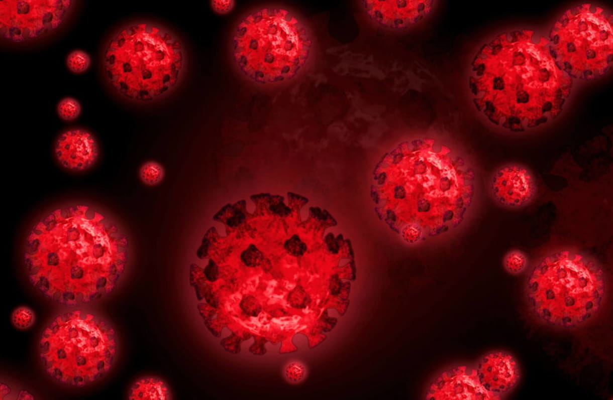 Estos anticuerpos pueden proteger contra el COVID-19 y todas sus ...