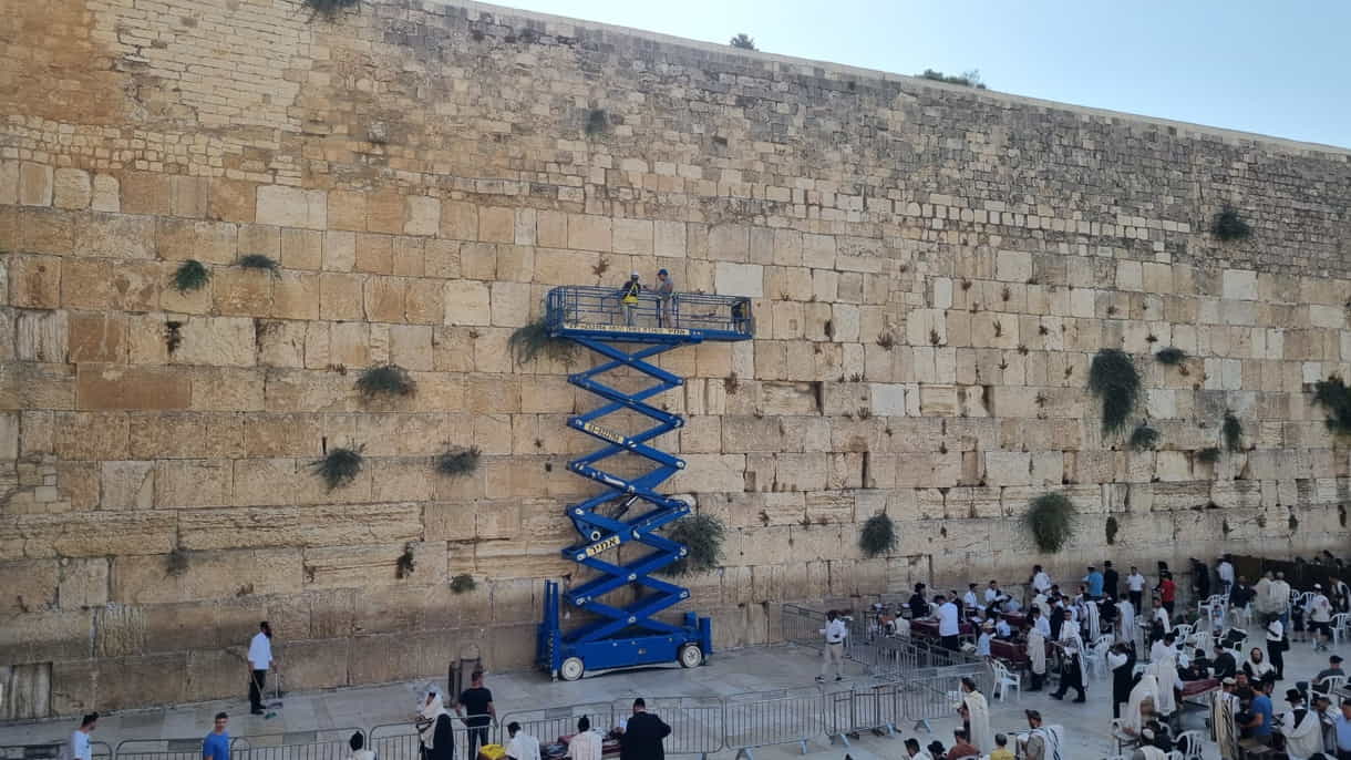 Más de 20.000 personas asisten a la primera selichot central en el Muro Occidental - Noticias de ...