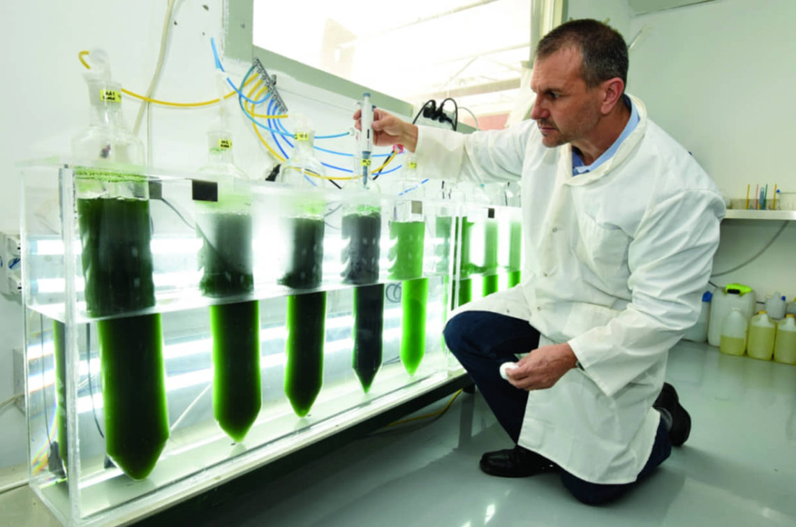 Agricultores israelíes aportan innovación a las nuevas cosechas
