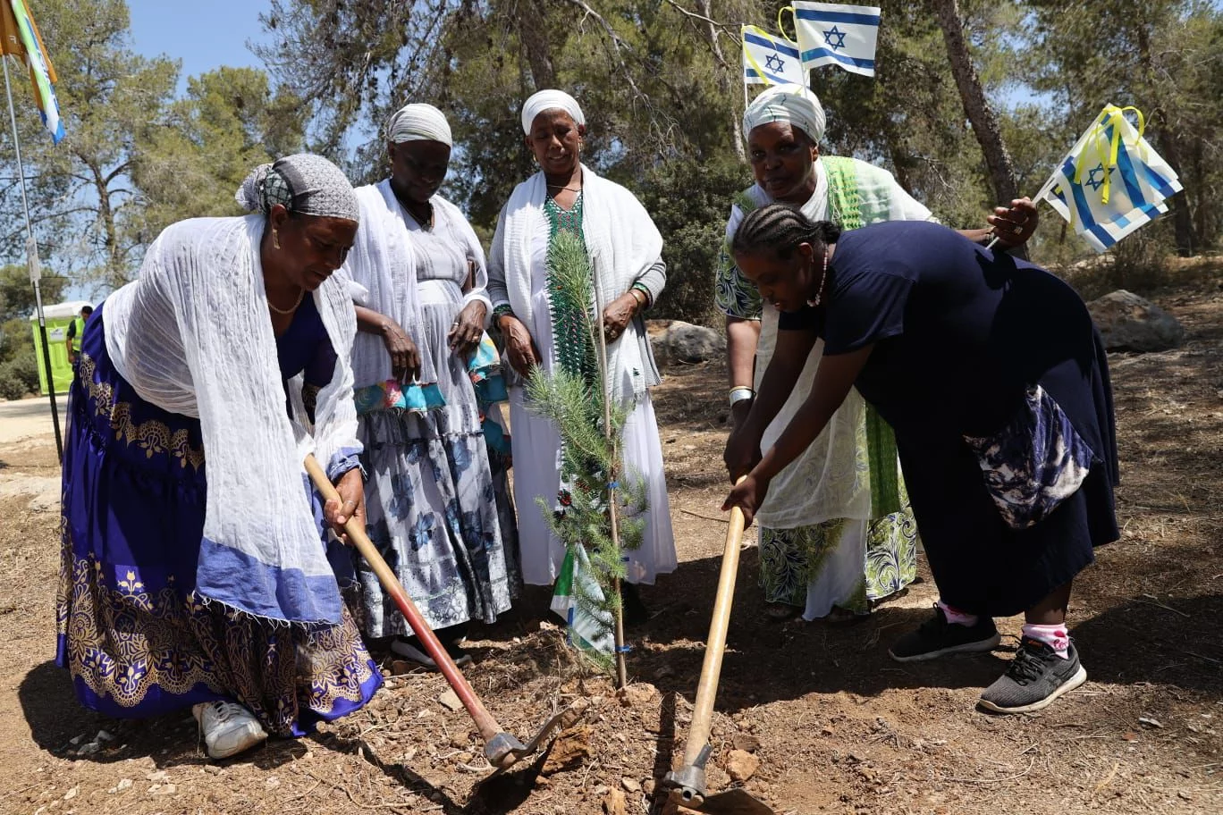 Keren Kayemeth inauguran el Bosque Judío Etíope - Noticias de Israel